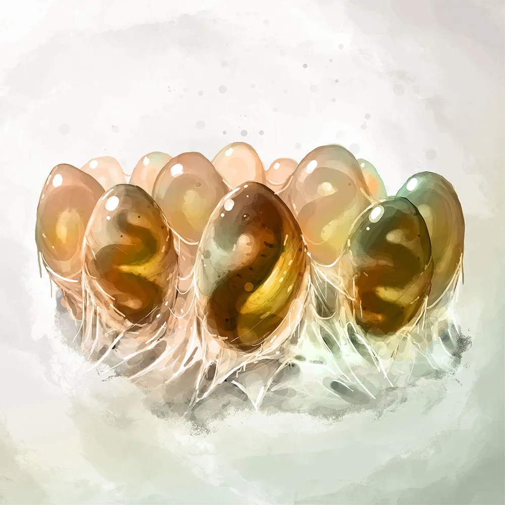 The Fluffy Folio – D&D Homebrews